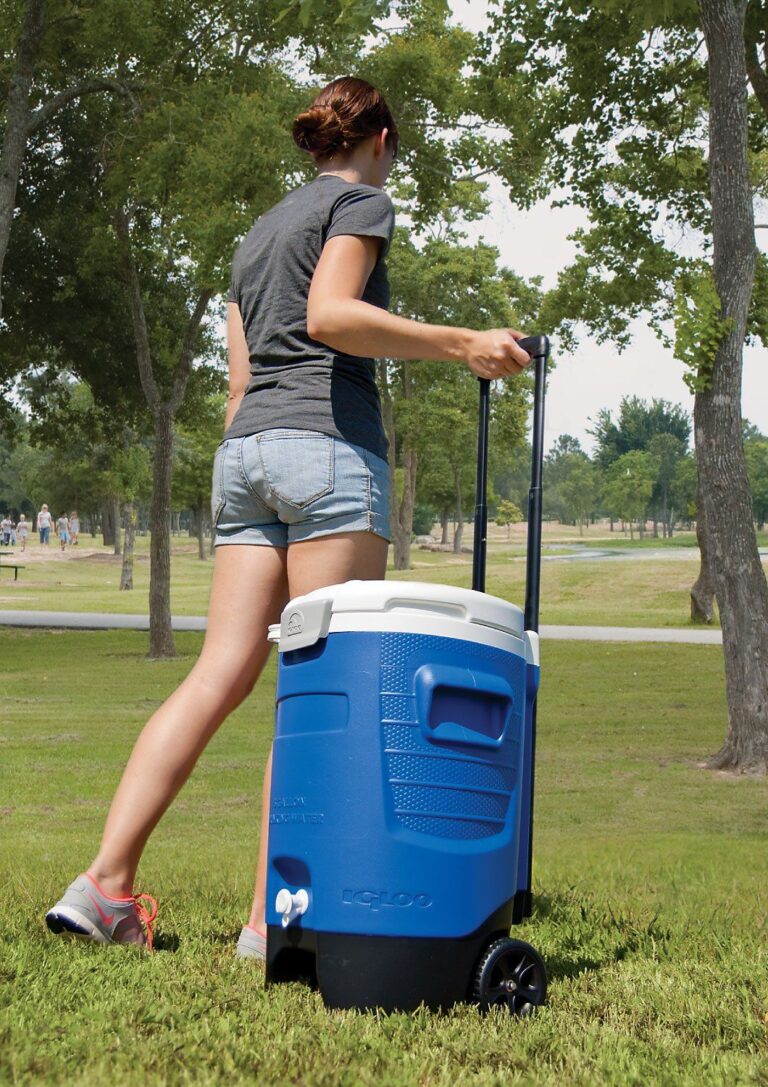 12 Best Round Coolers and Bucket Coolers