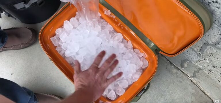 How Much Ice Do You Need For a Cooler?