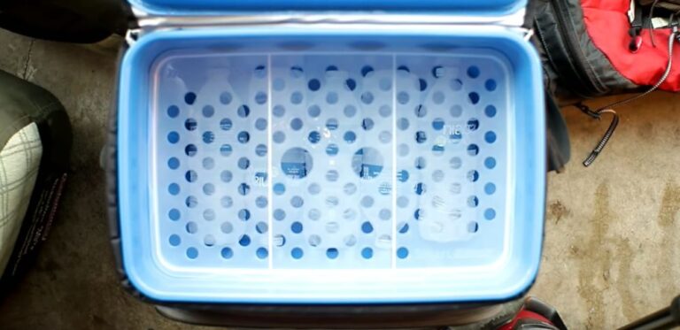 Best Soft Coolers With Hard Inner Liners: Leakproof and Easy To Clean