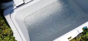 How To Keep Ice From Melting Using Salt: It's Not How You'd Think