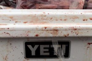 How To Properly Clean a Cooler: Get Rid of Mold, Smells and Stains