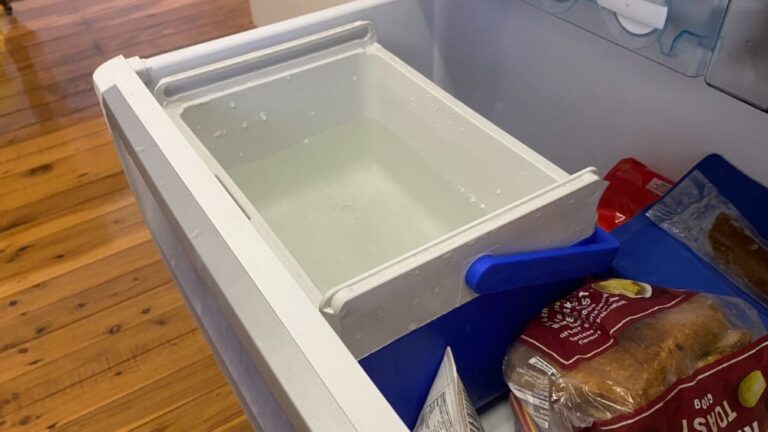 Dry Ice vs Regular Ice: Pros and Cons