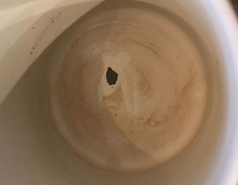 What To Do If Ember Mug is Chipping