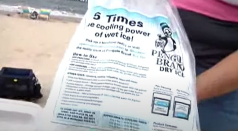 Does Publix Sell Dry Ice? (2022 Pricing & Availability)