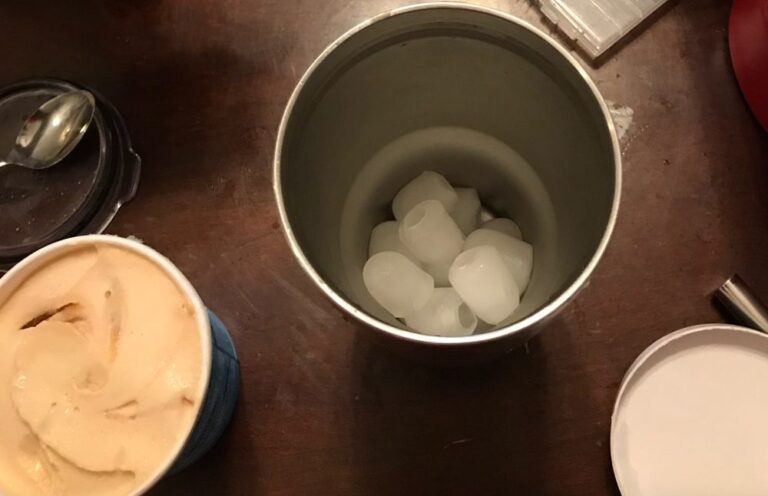 11 Ways To Keep Ice From Melting In a Cup
