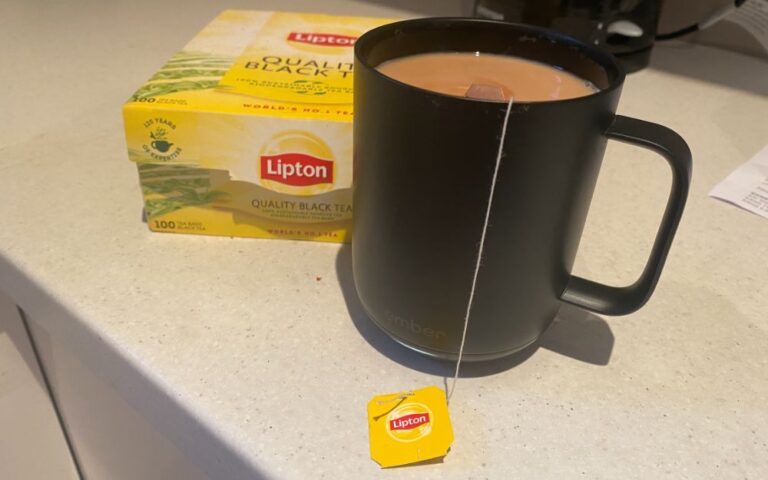 Why Your Ember Mug Says Empty And How To Fix