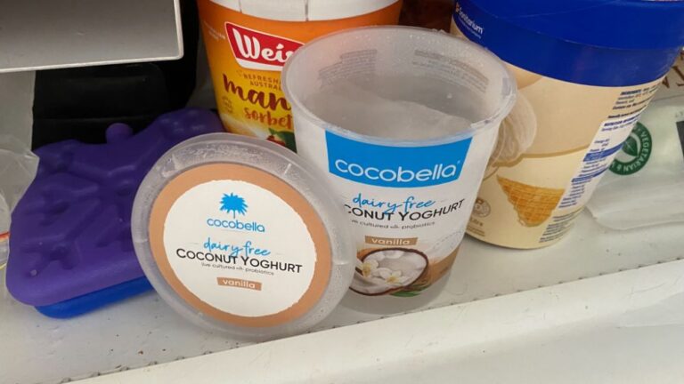 12 Best Ice Cube Tray Substitutes (Best Alternatives)