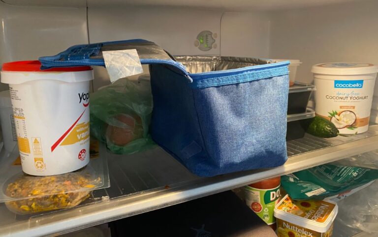 Why Do People Put Insulated Lunch Boxes In The Fridge?