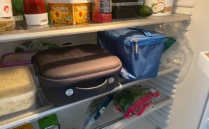 Why Do People Put Insulated Lunch Boxes In The Fridge?