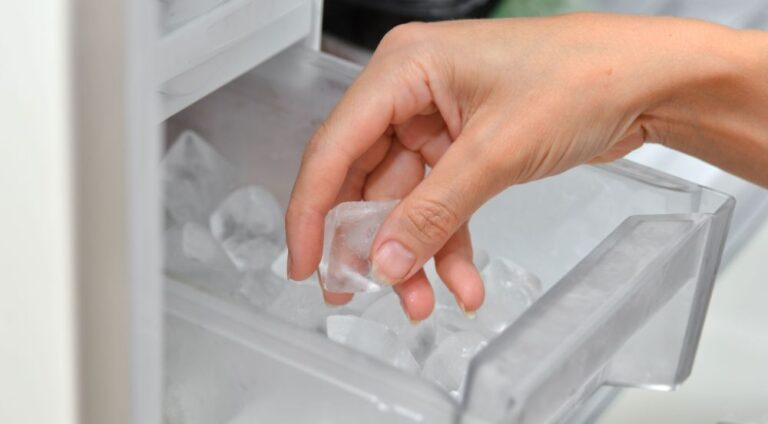 7 Reasons Ice Tastes Bad In A New Fridge (+ 7 Fixes)