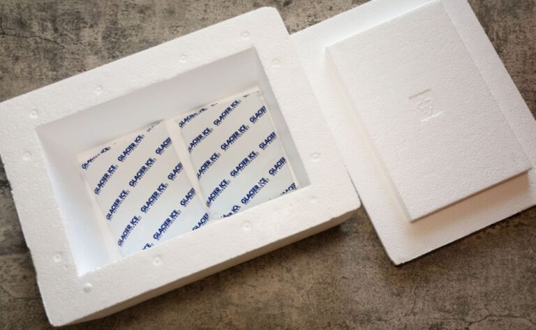 small-styrofoam-cooler-with-ice-packs - Hunting Waterfalls