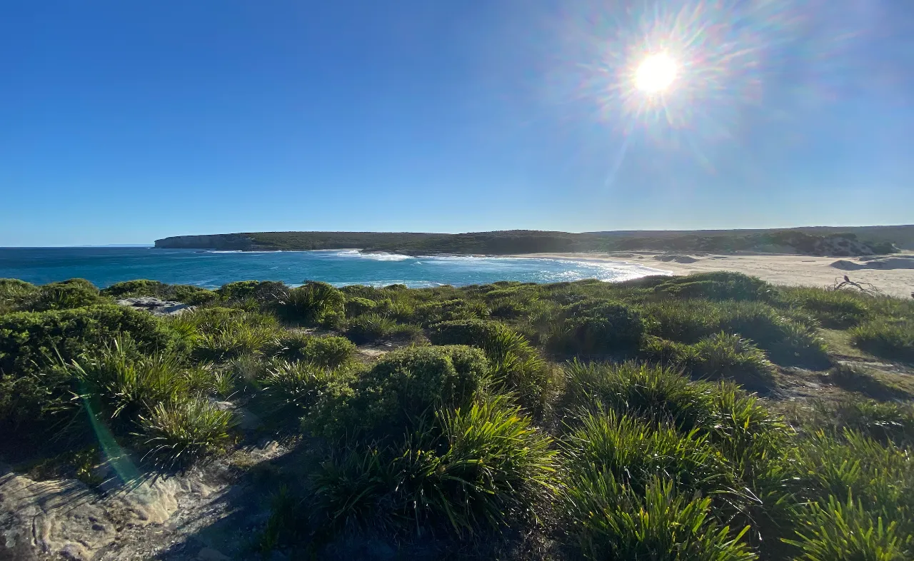 overlooking-marley-beach-royal-national-park - Hunting Waterfalls