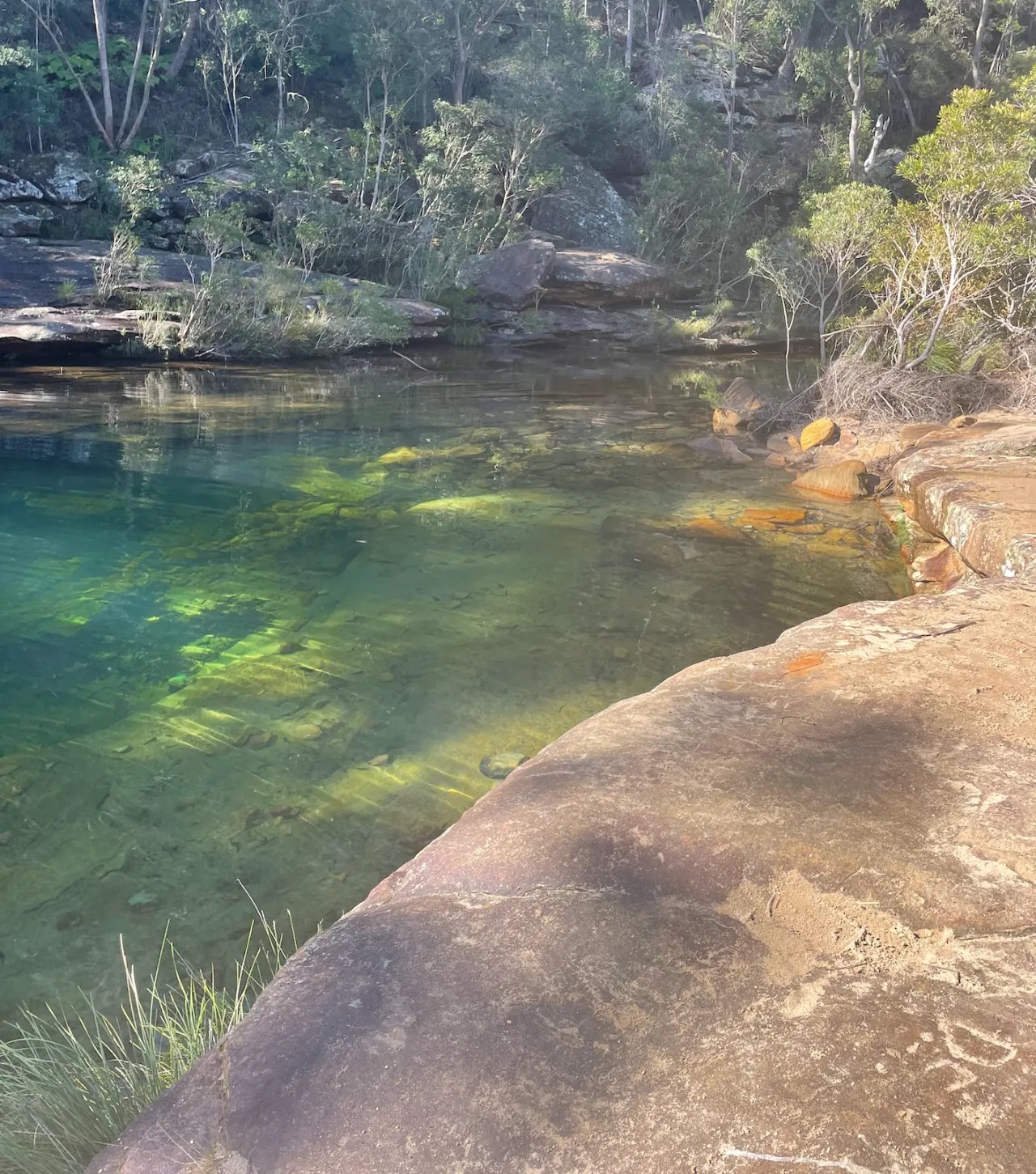 karloo-pools-royal-national-park-clear-water - Hunting Waterfalls