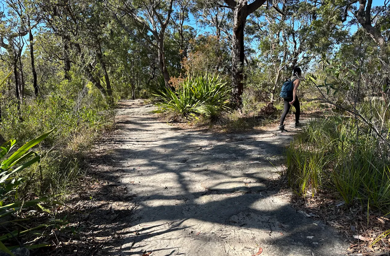 karloo-pools-track-lookout-path-diverges - Hunting Waterfalls
