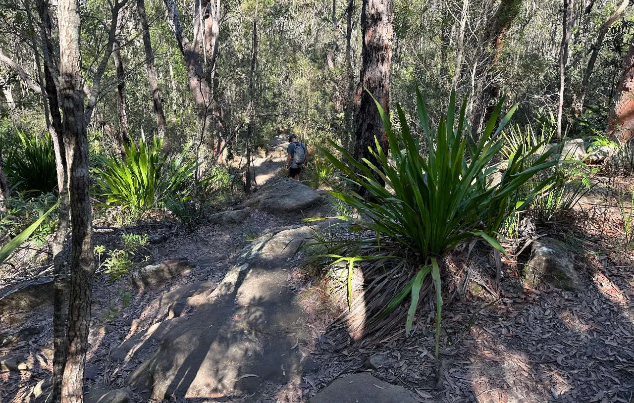 ryan-man-walking-down-semi-steep-section-of-karloo-pools-track ...