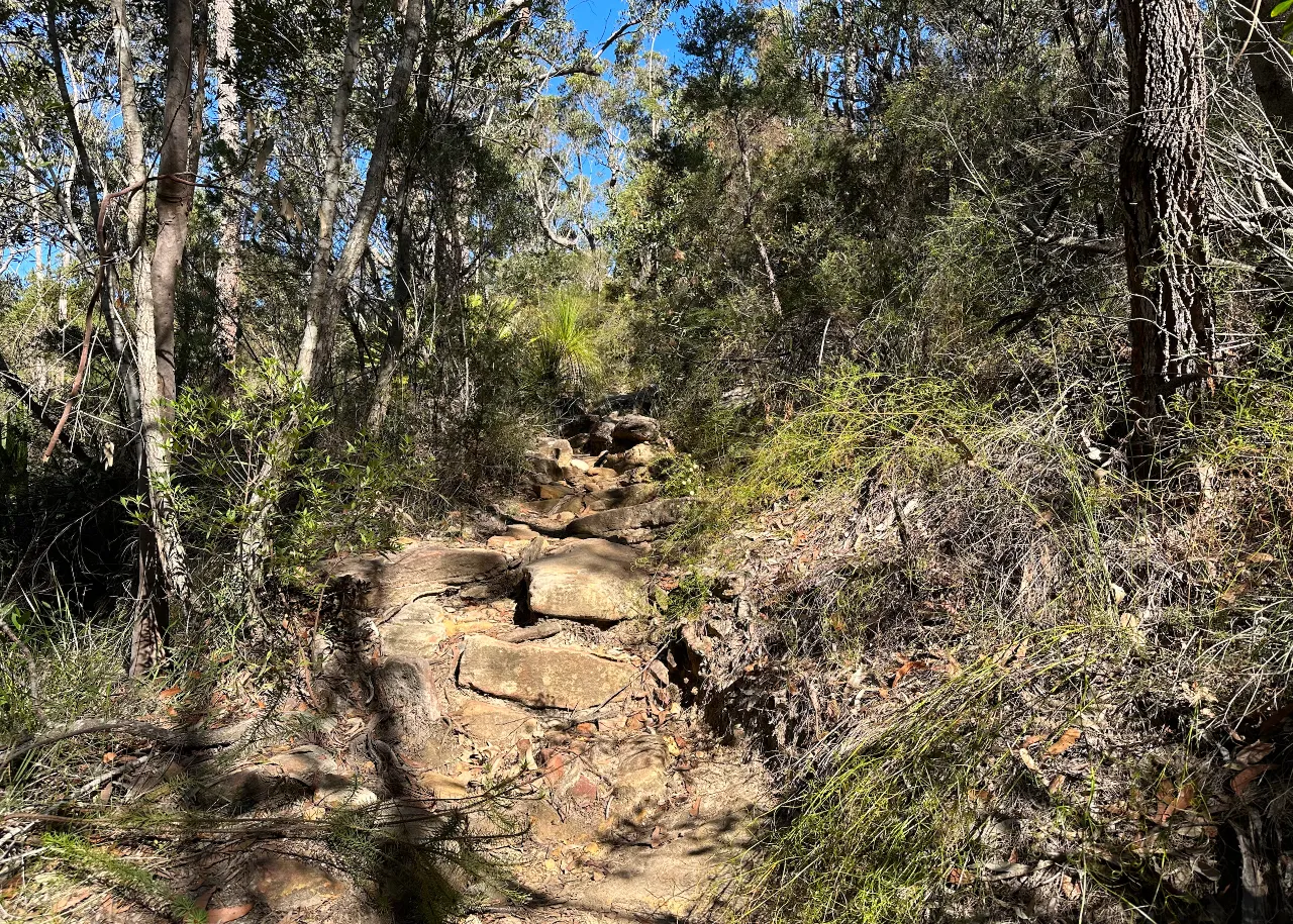 steep-section-between-karloo-pools-and-uloola-falls-track-rocky ...