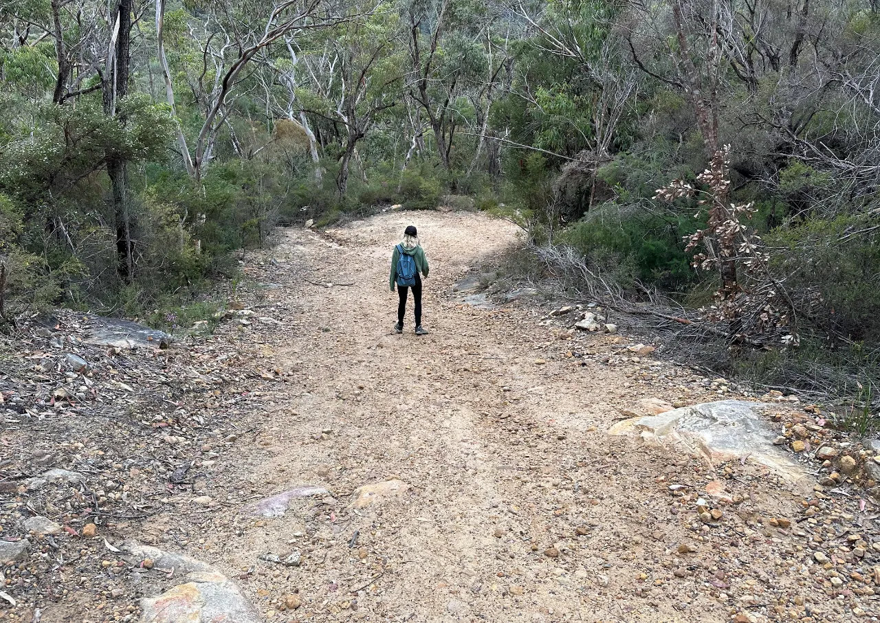 winifred-falls-fire-trail-steep-section-with-loose-rocks - Hunting ...